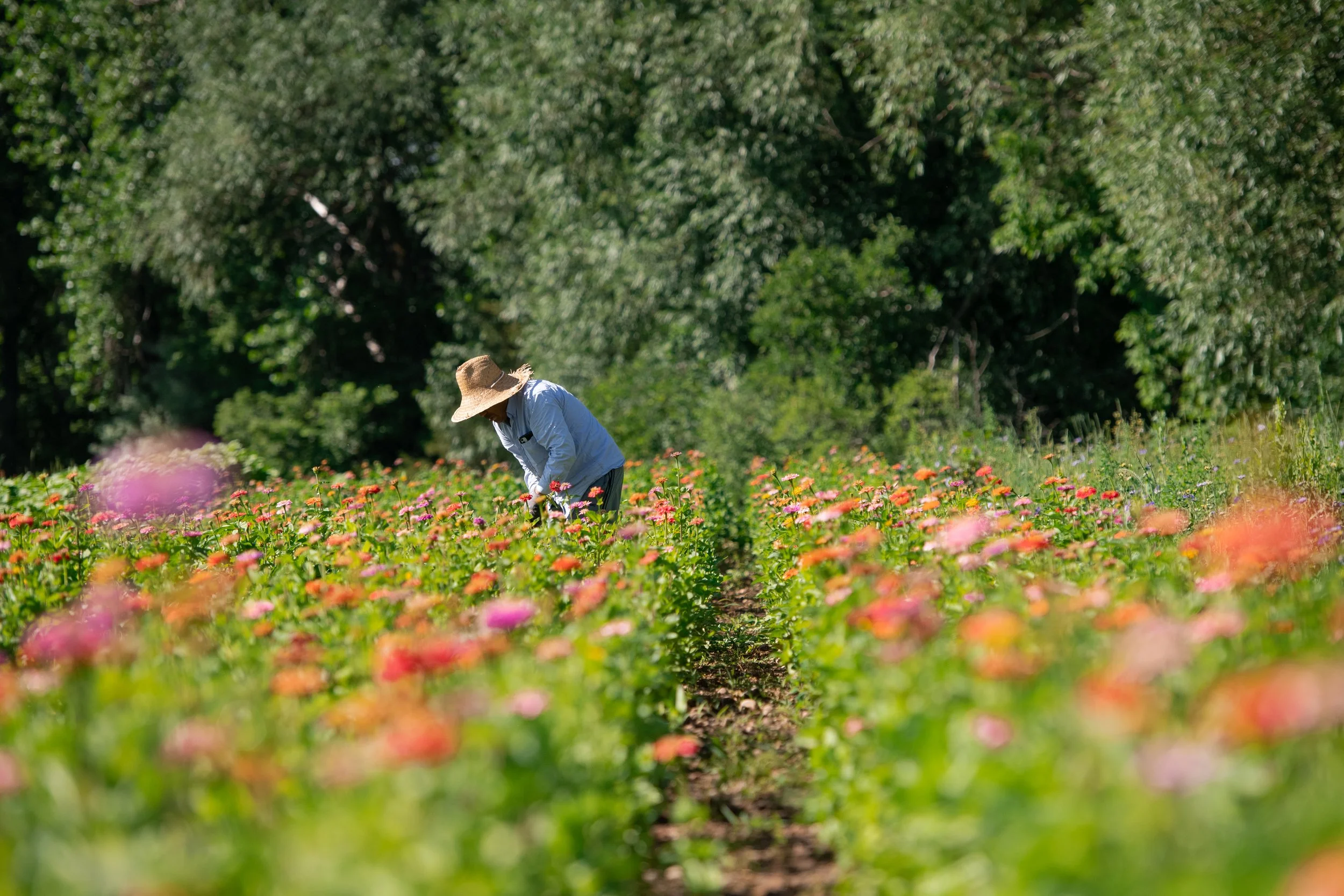 Case Studies - Naya Solutions